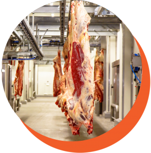 Euro Meat d.o.o. Maglaj - Brzo. Svježe. Provjereno.